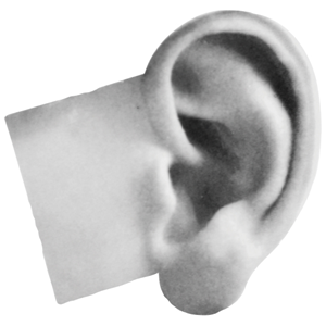 CAFLON BLU PIERCING PRACTICE EAR, FOAM BACKING, EA