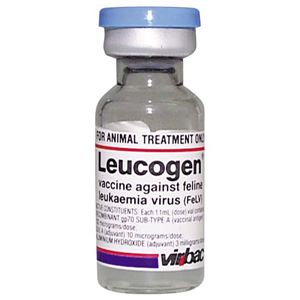 Leucogen Fel V Vac 1.1ml, 10/Pk #R - Livingstone IT