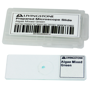 LIV BASIC LEVEL PREPARED SLIDE ALGAE MIXED GREEN EA